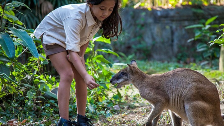 Tempat Wisata Ramah Anak di Bali Liburan Seru Bersama Keluarga - Sewa ...